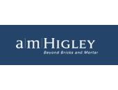 AM Higley - Construction Information Systems